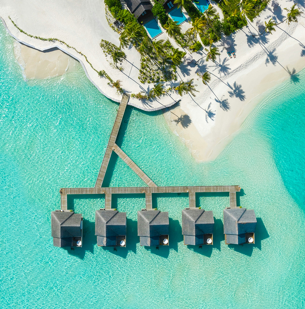 Taniti Island - Home